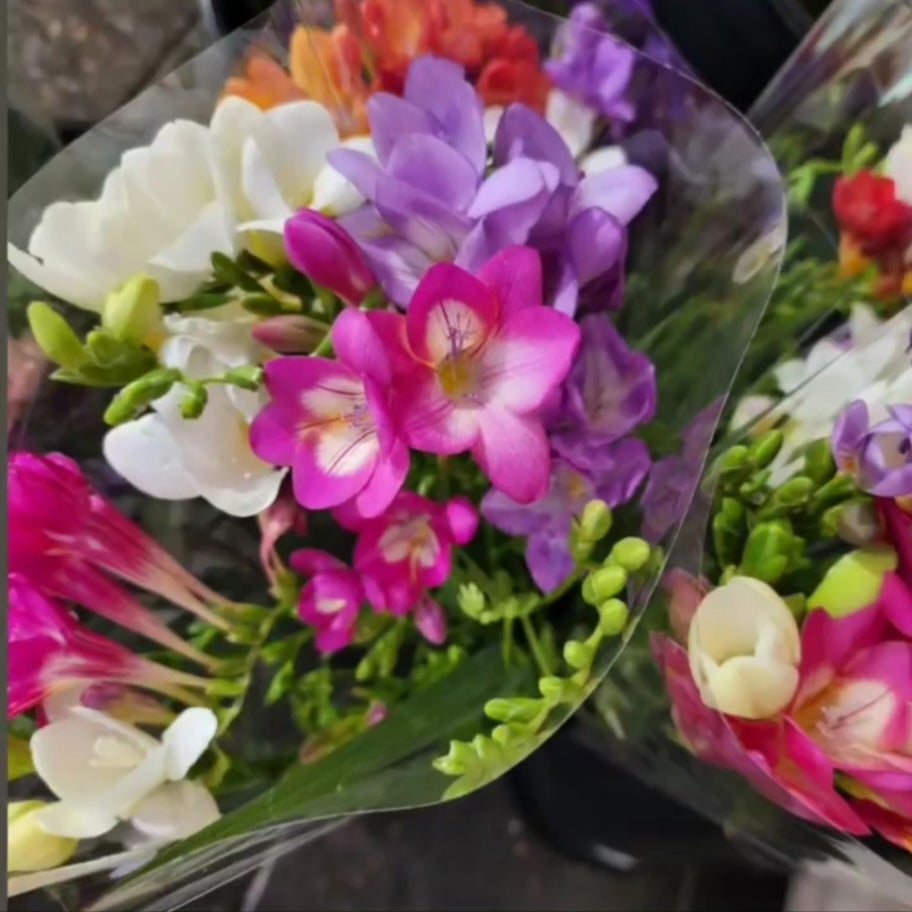 Freesias Bunch | The Nature Spot