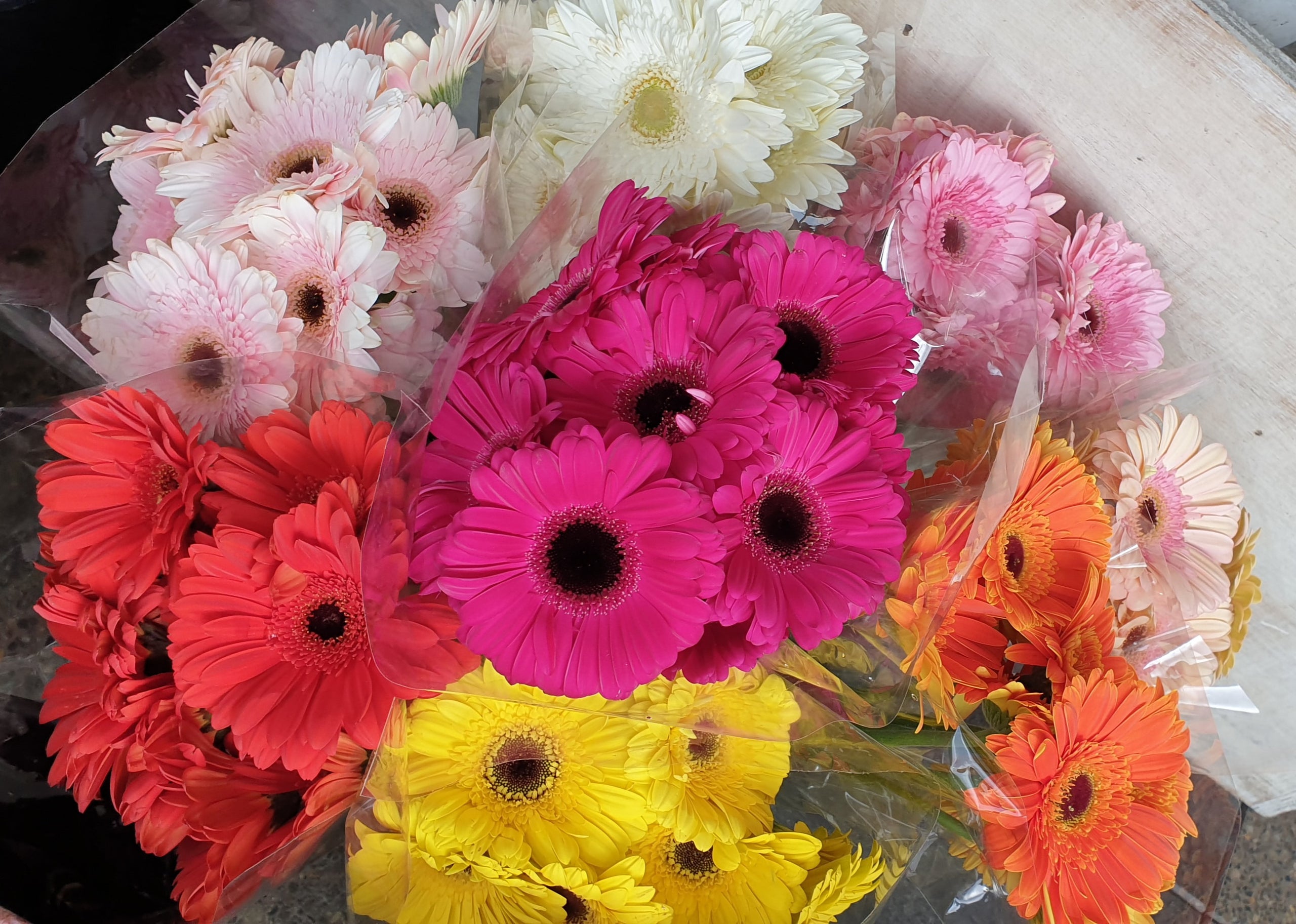Gerberas Bunch | The Nature Spot